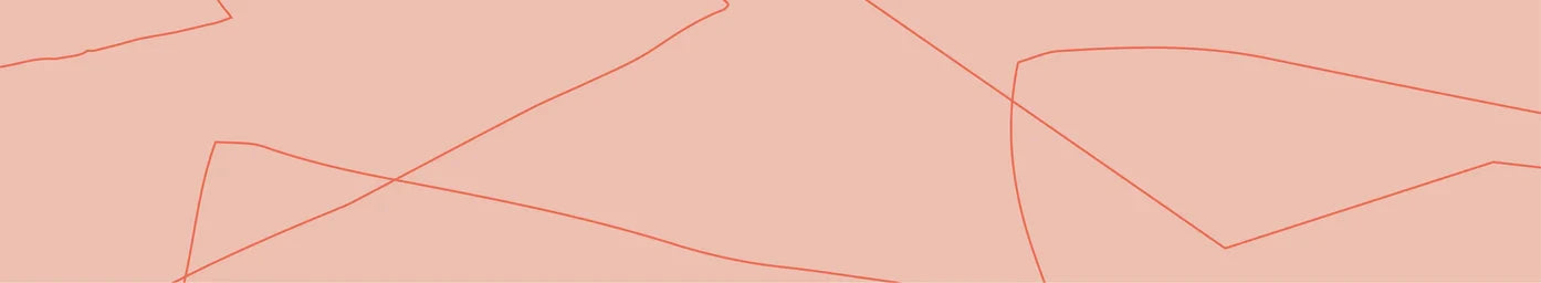 Ornaments + Wrapping | Drake General Store